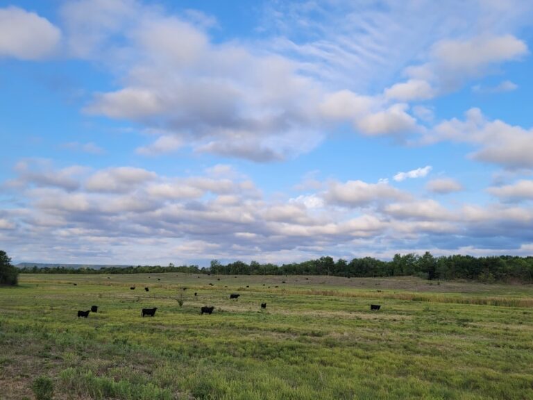 Land Management Division - Oklahoma Conservation Commission