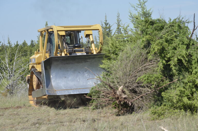 Oklahoma Takes a Stand: Combating Invasive Species with Innovative ...